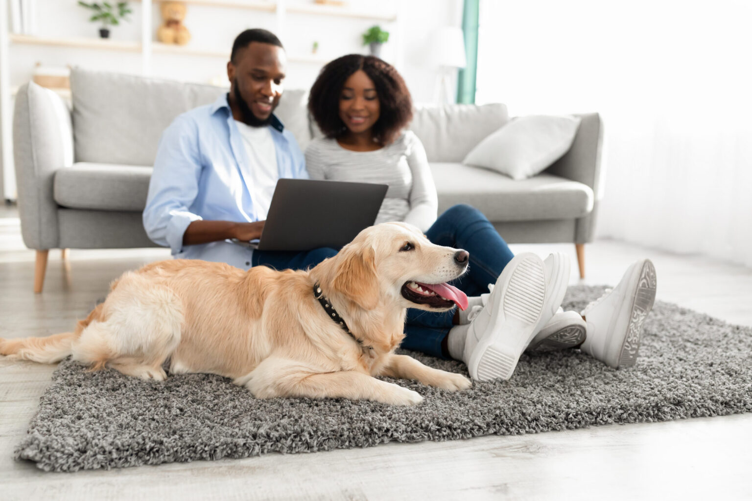 Current Residents – Evolve Property Management